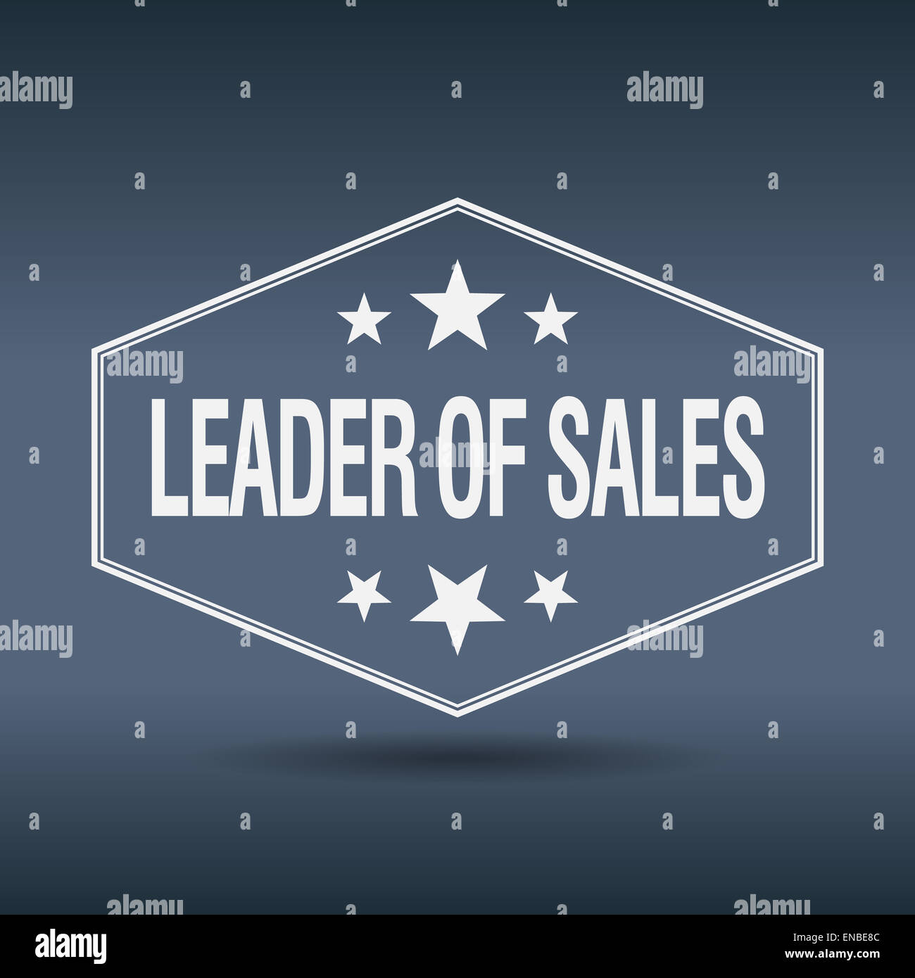 leader of sales hexagonal white vintage retro style label Stock Photo ...