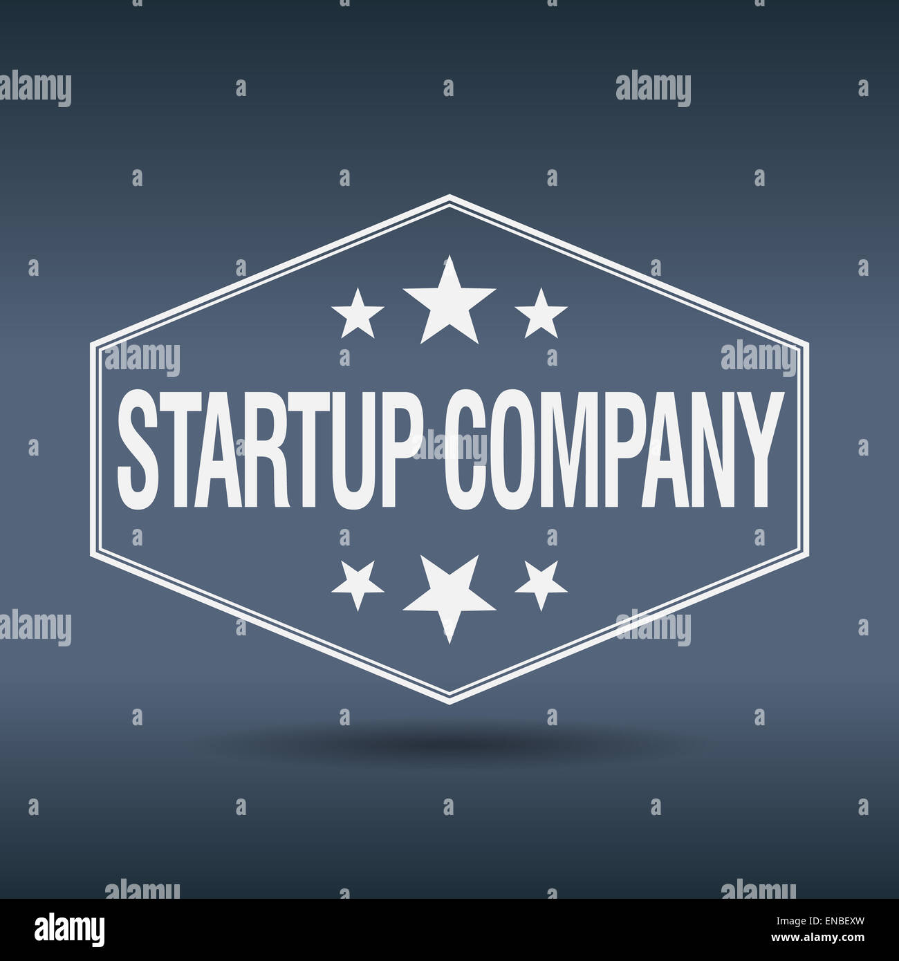 startup company hexagonal white vintage retro style label Stock Photo ...