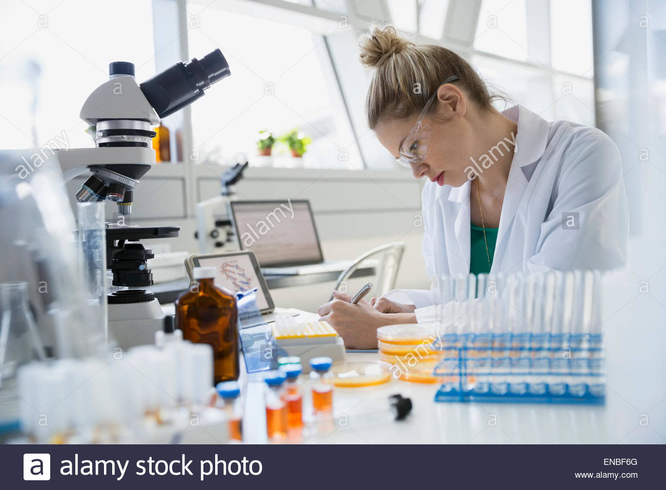 Scientist taking notes on scientific experiment Stock Photo - Alamy