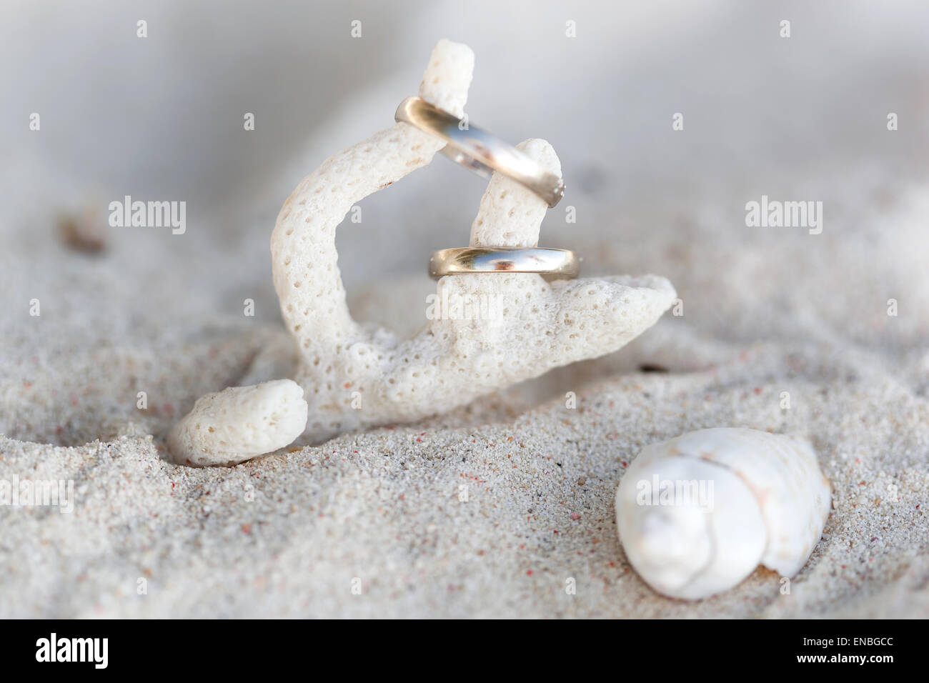 Celebration Valentine's day on beach, rings on shell Stock Photo - Alamy
