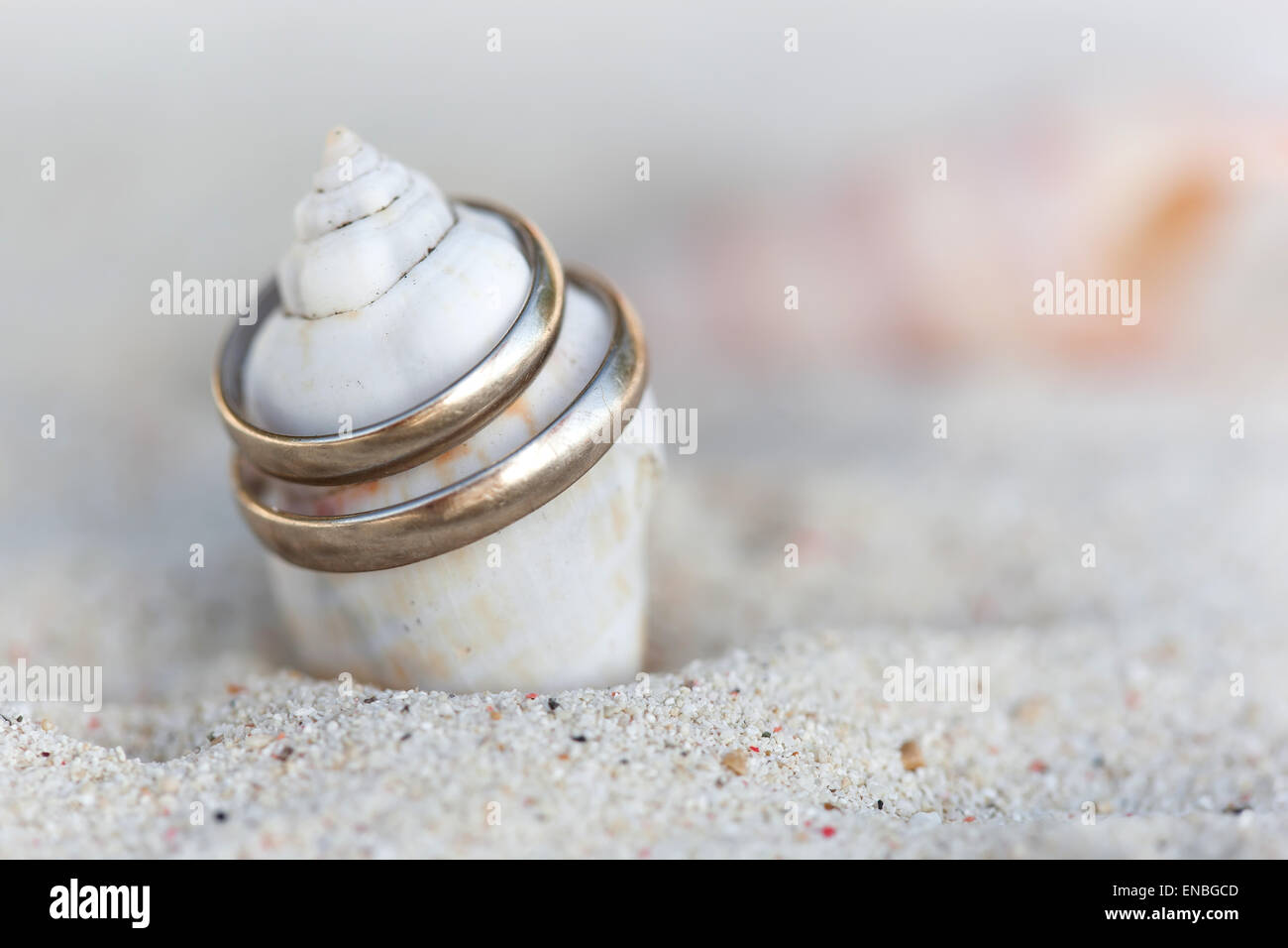 Celebration Valentine's day on beach, rings on shell Stock Photo - Alamy