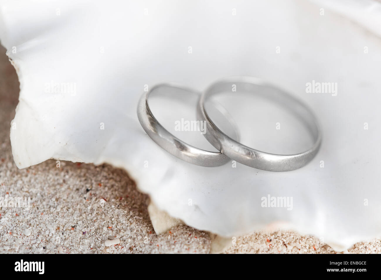 Celebration Valentine's day on beach, rings on shell Stock Photo - Alamy