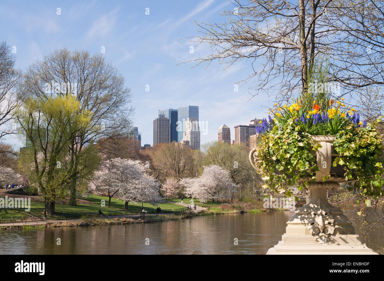 Springtime view of Central Park from Bow Bridge, NYC, USA Stock Photo ...