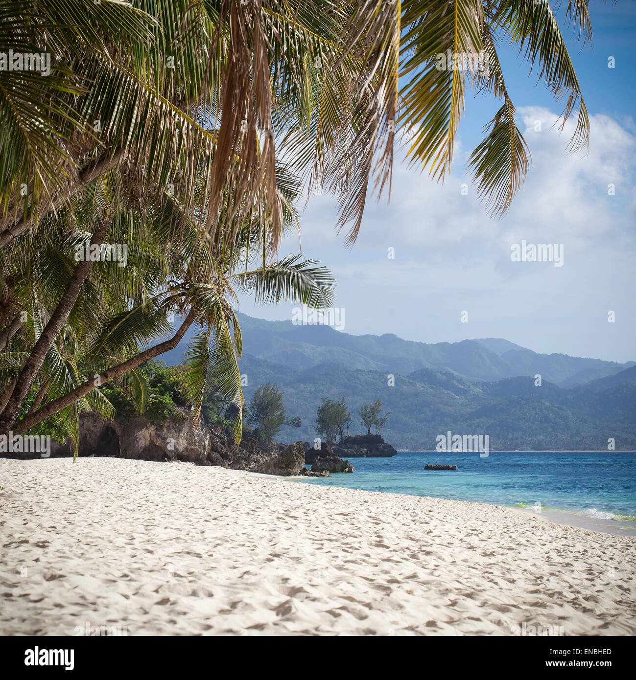 Tropical beach with beautiful palms and white sand, Philippines ...