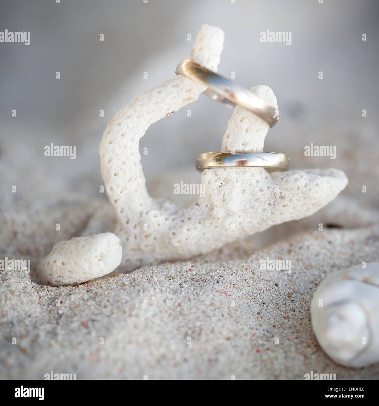 Celebration Valentine's day on beach, rings on shell Stock Photo - Alamy