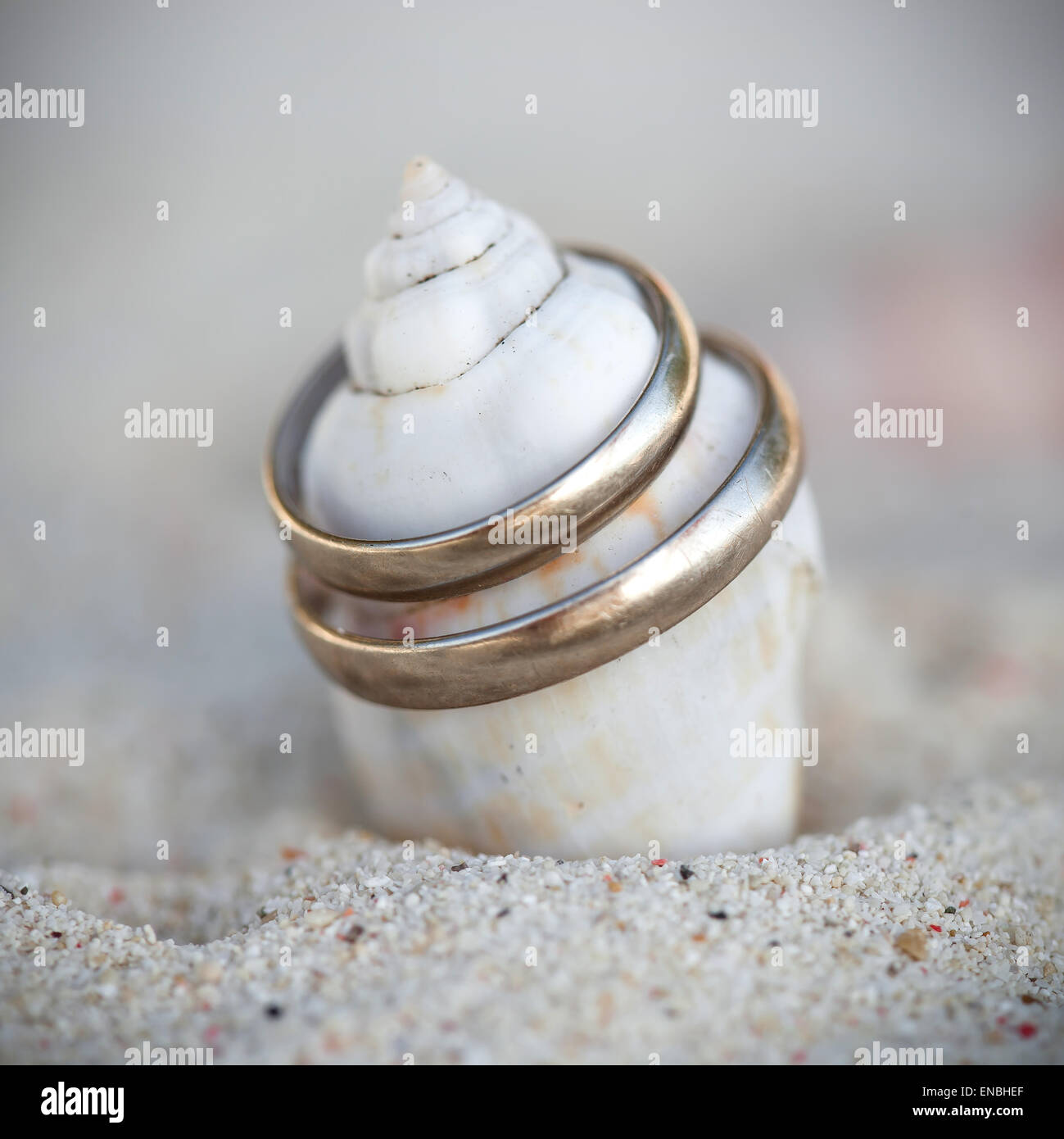 Celebration Valentine's day on beach, rings on shell Stock Photo - Alamy