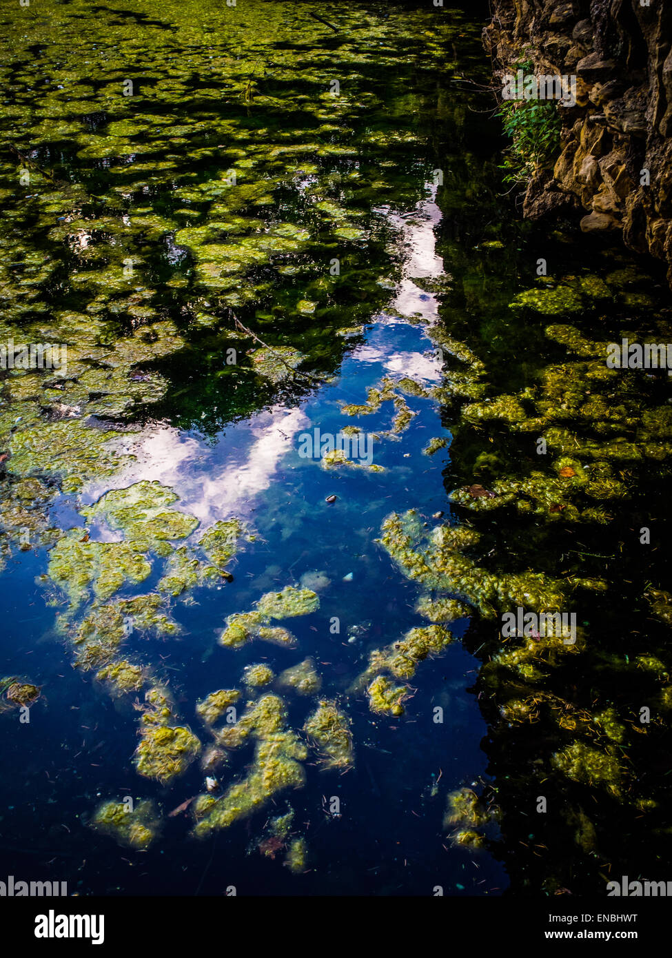 Reflective Still Pond Stock Photo - Alamy