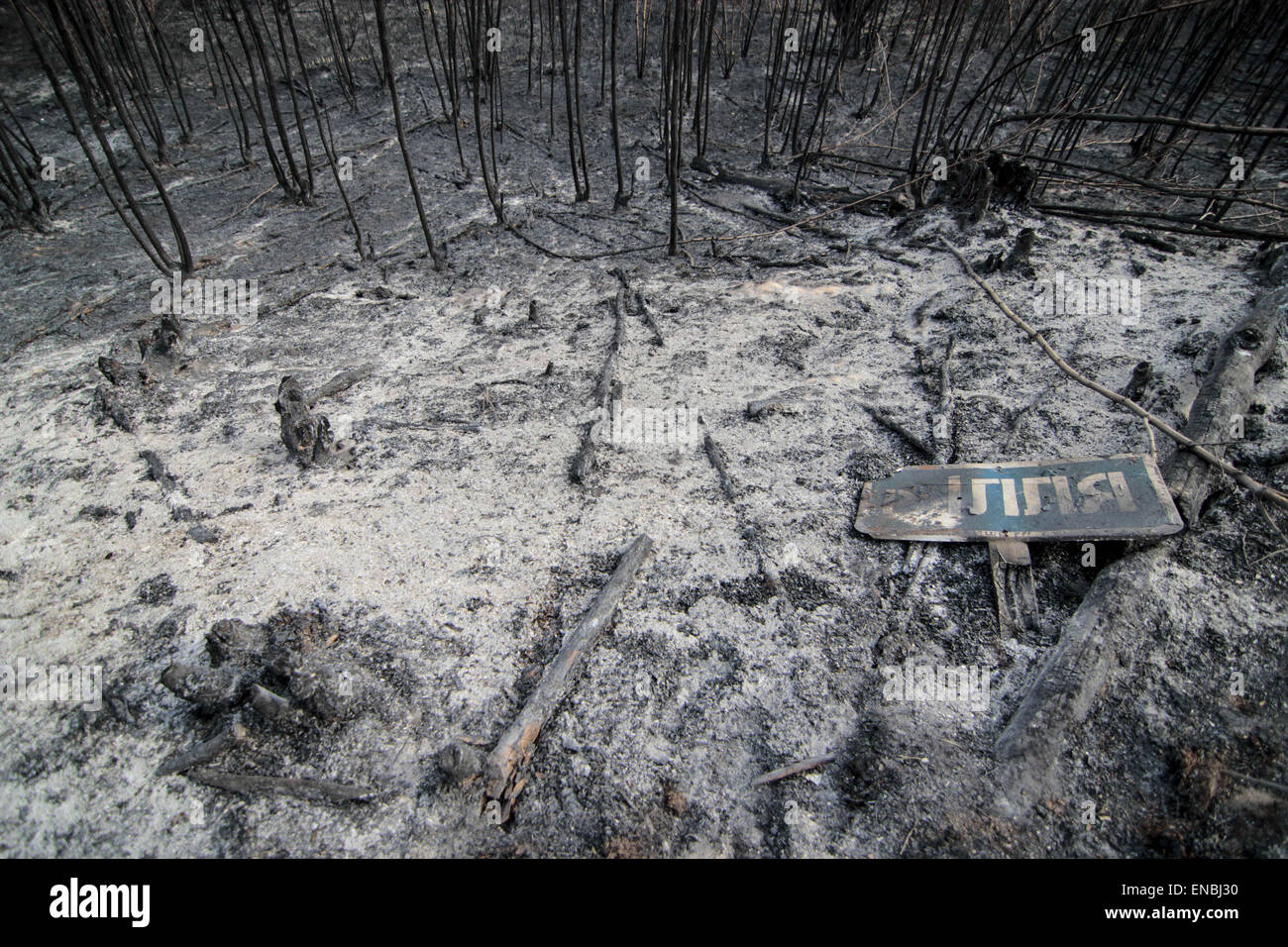 Chernobyl, Ukraine. 1st May, 2015. Ukrainian firemen rest and pump ...