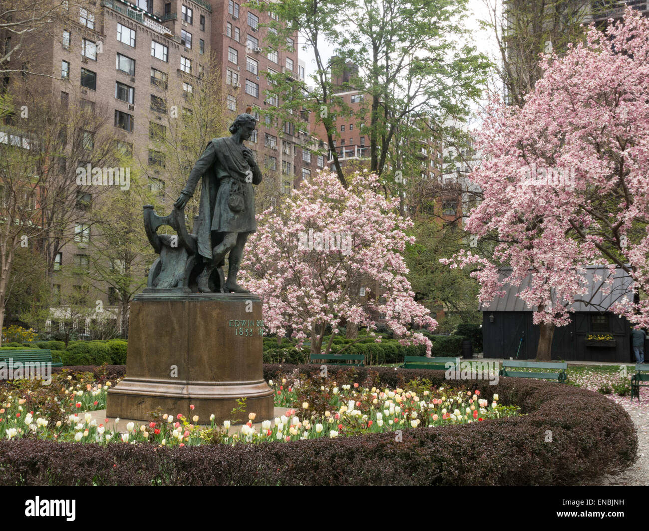 Edwin Booth Statue and Blooming Magnolia Trees, Gramercy Park, NYC, USA ...