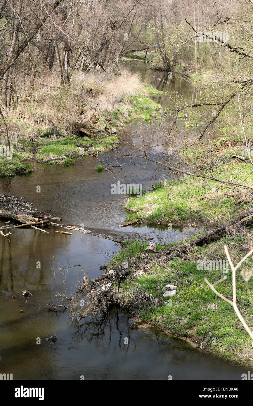 small river in the woods in spring Stock Photo - Alamy