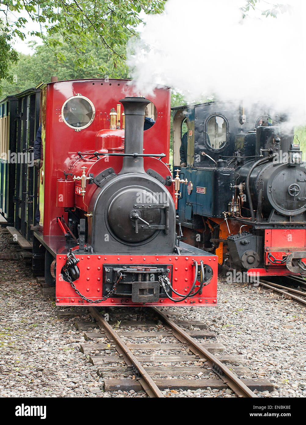 Narrow gauge steam locomotives hi-res stock photography and images - Alamy