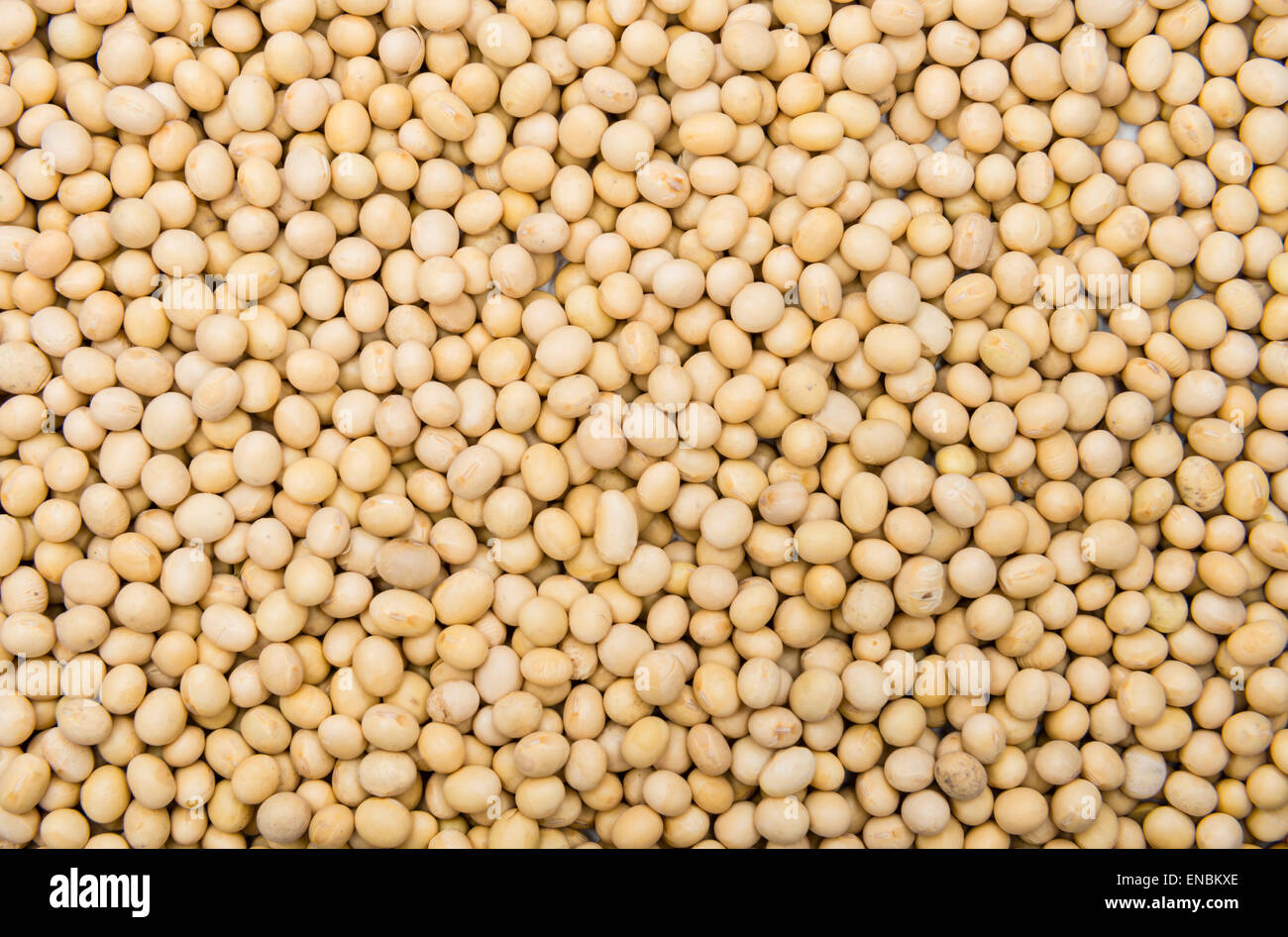Soybeans texture hi-res stock photography and images - Alamy