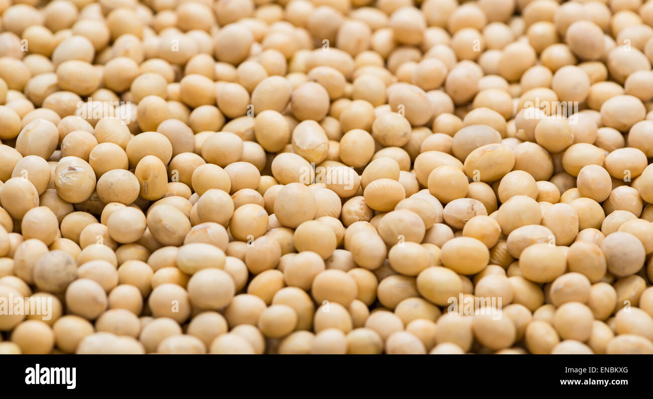 Soy Beans close-up shot for use as background image or as texture Stock ...