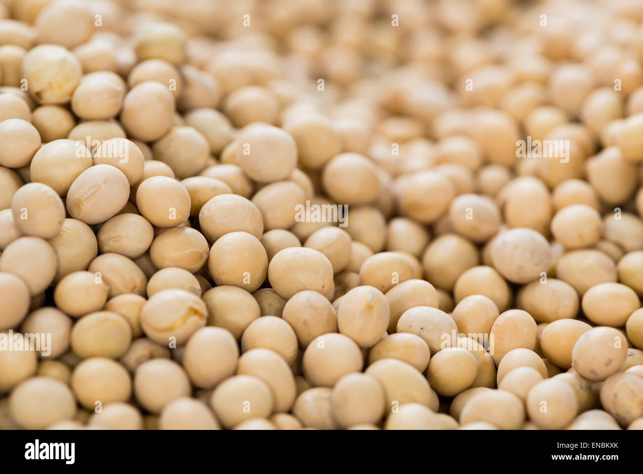 Soy Beans close-up shot for use as background image or as texture Stock ...