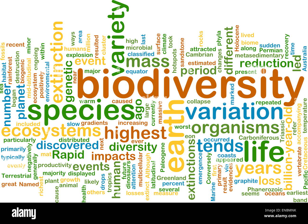 Background text pattern concept wordcloud illustration of biodiversity ...