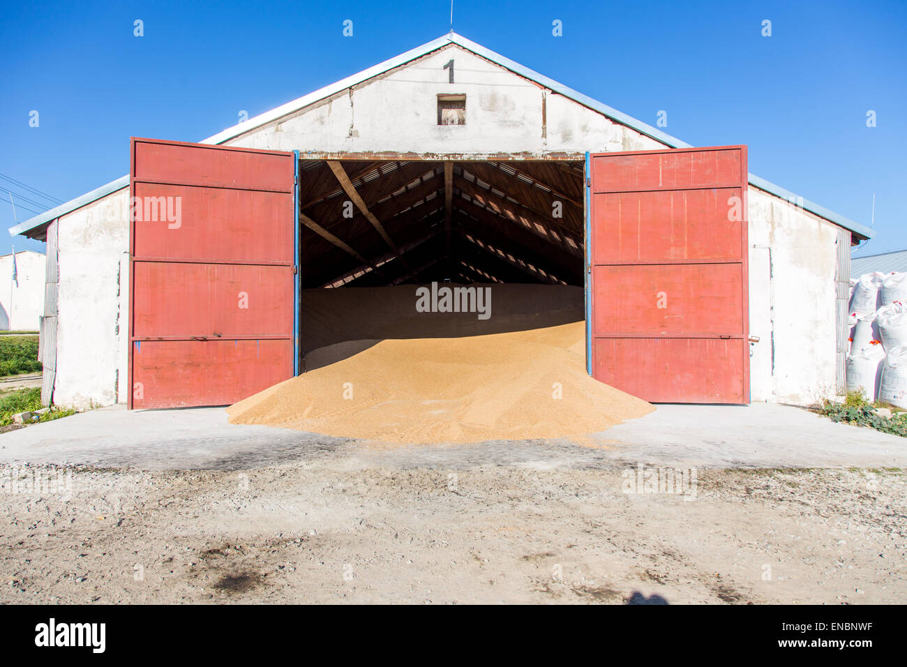 The warehouse with a pile of wheat inside Stock Photo - Alamy