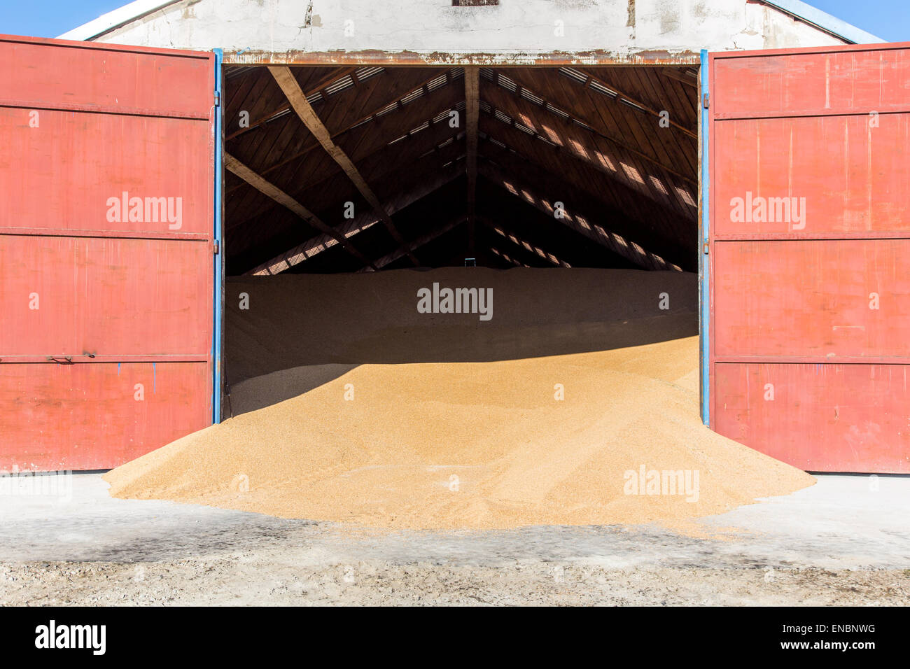 The warehouse with a pile of wheat inside Stock Photo - Alamy