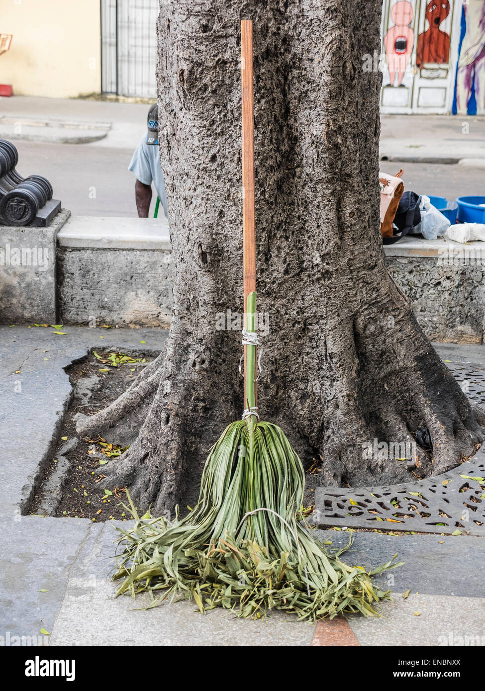 A green broom made from palm fronds that is tied to a broom stick leans ...