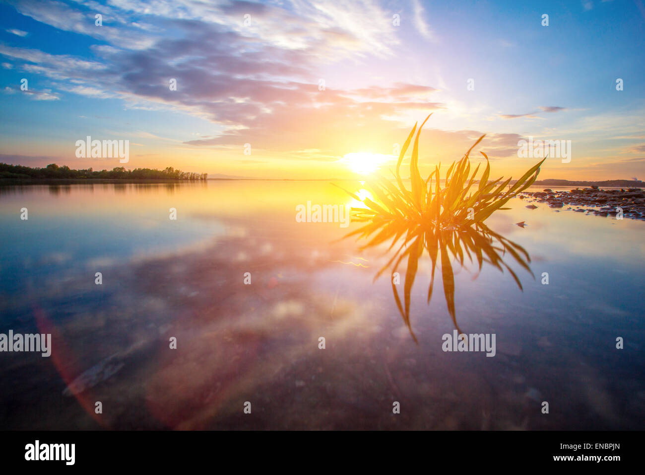 Large panorama tree line hi-res stock photography and images - Alamy