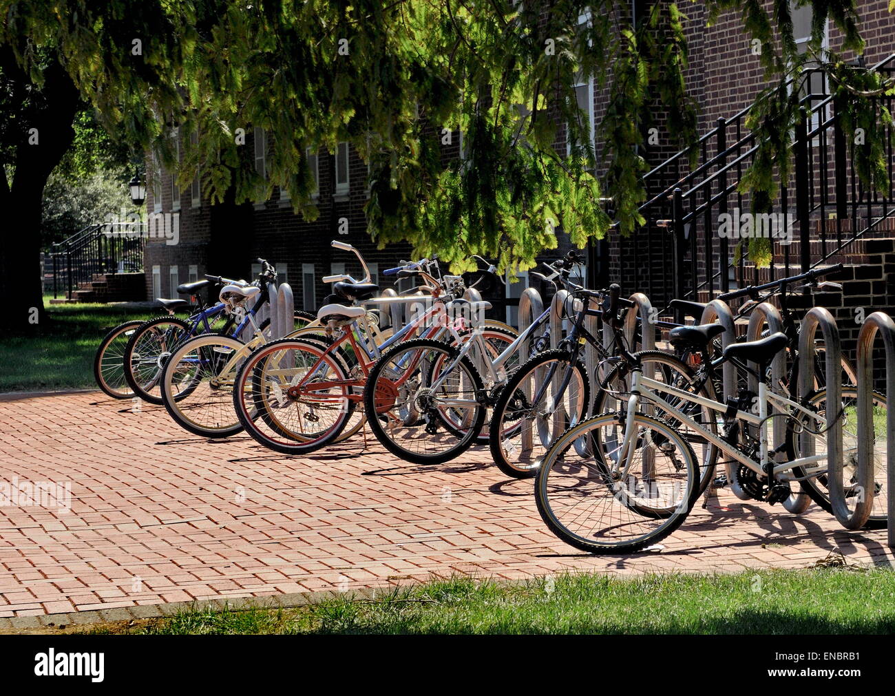 Nice rack hi-res stock photography and images - Alamy