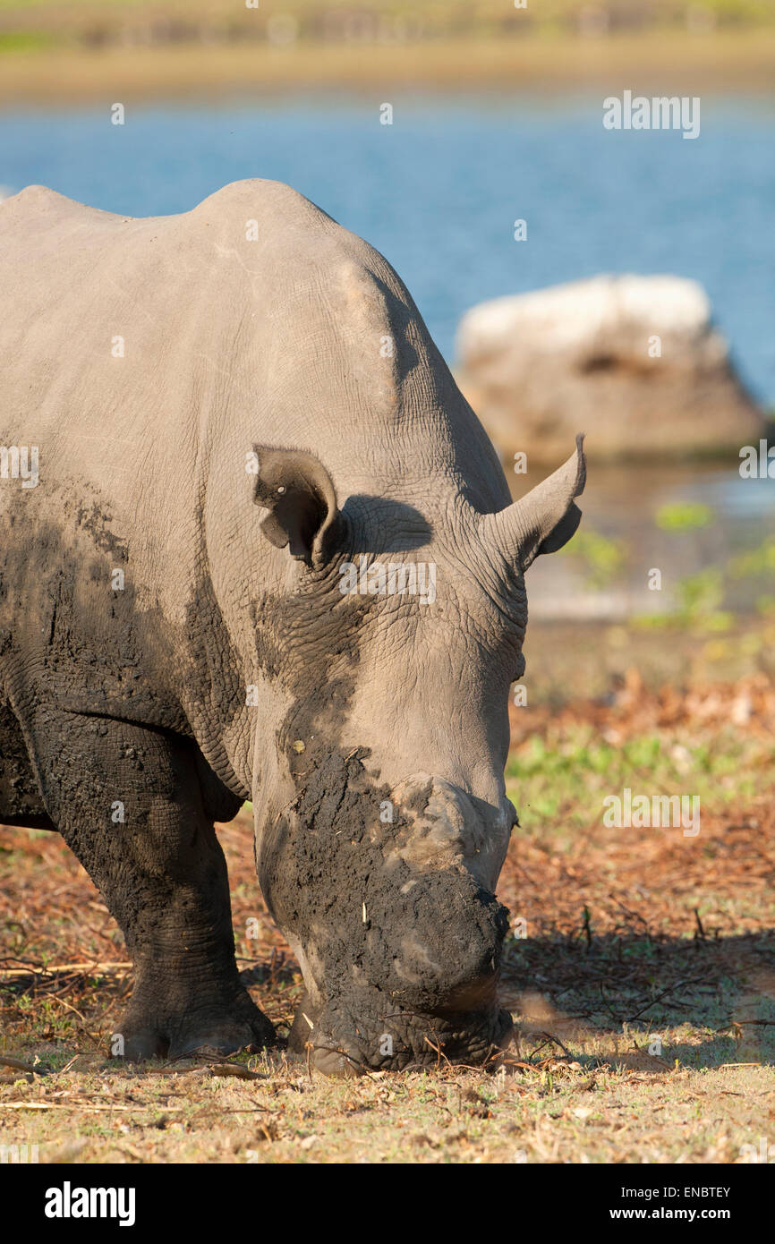 Coolth hi-res stock photography and images - Alamy