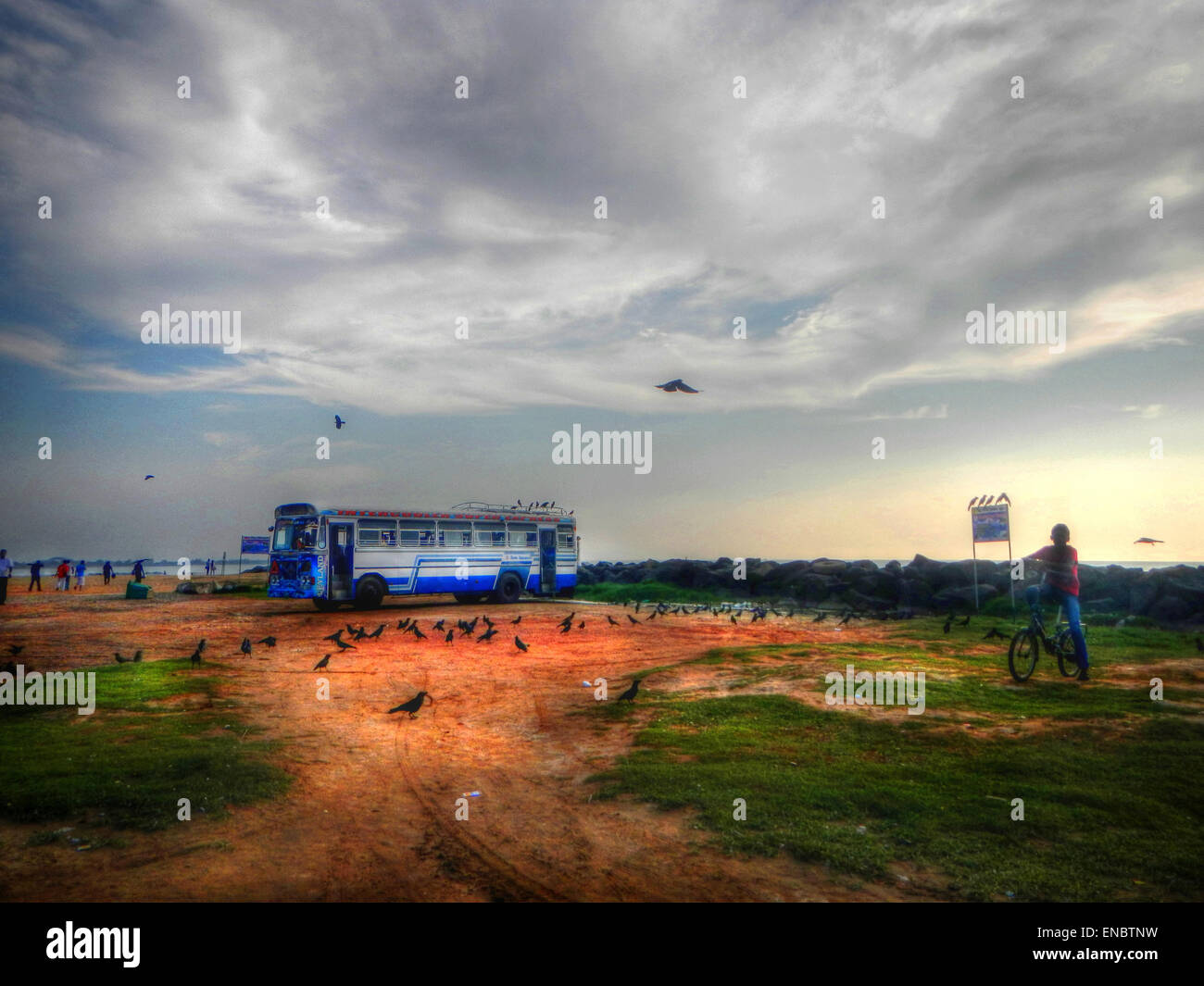 Abandoned Bus with crows in Negombo beach Stock Photo - Alamy