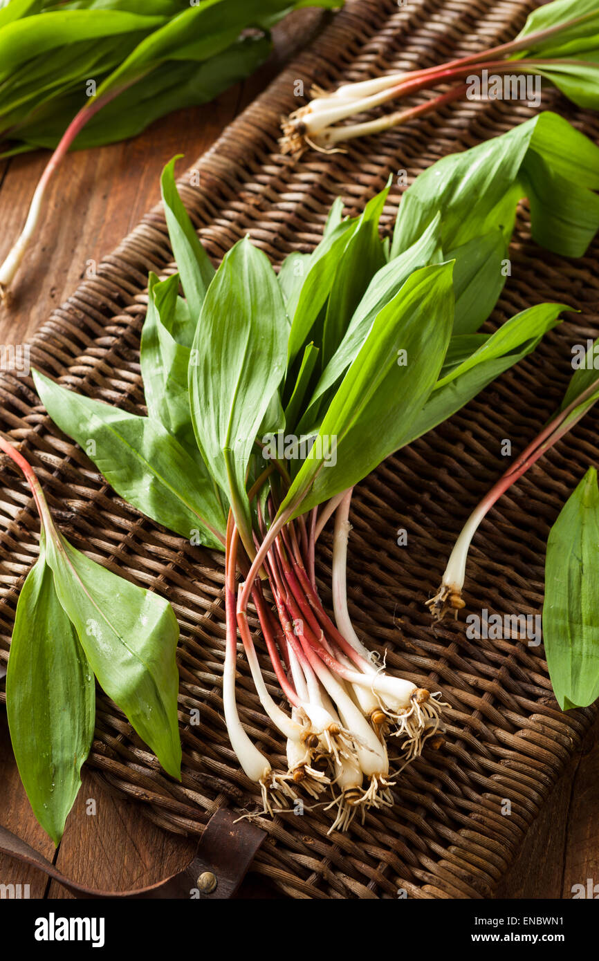 Raw Organic Green Ramps Ready to Cook With Stock Photo - Alamy