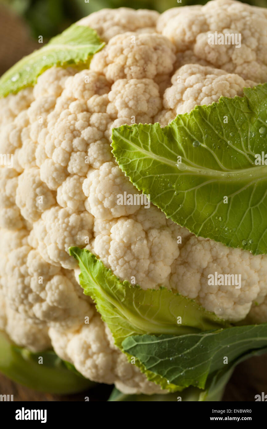 Raw Organic Cauliflower Heads with Fresh Green Leaves Stock Photo - Alamy