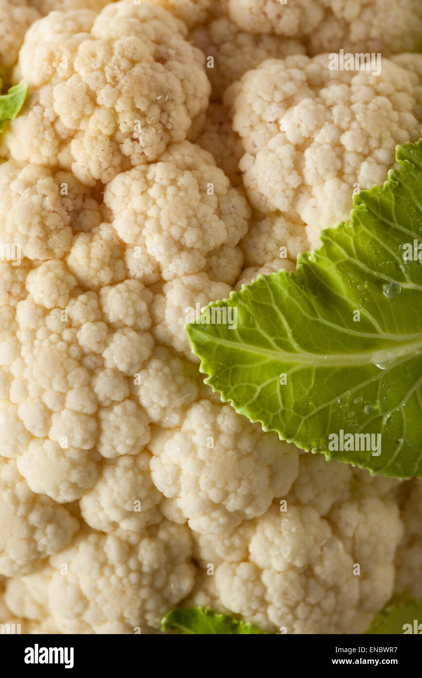 Raw Organic Cauliflower Heads with Fresh Green Leaves Stock Photo - Alamy