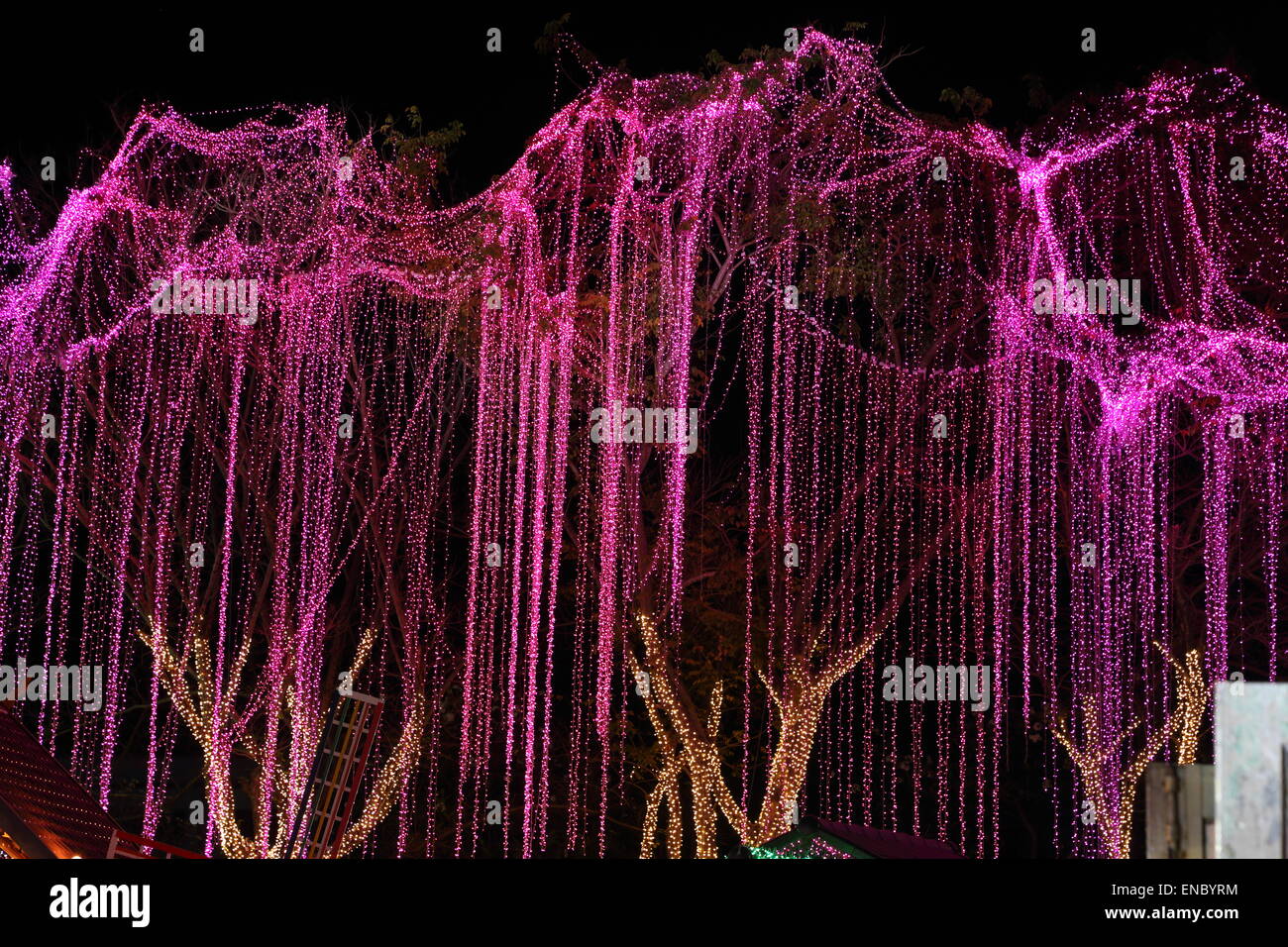 LED lighting decoration on a tree (celebrating event Stock Photo - Alamy