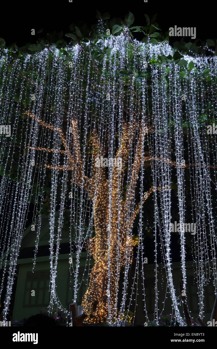 LED lighting decoration on a tree (celebrating event Stock Photo - Alamy