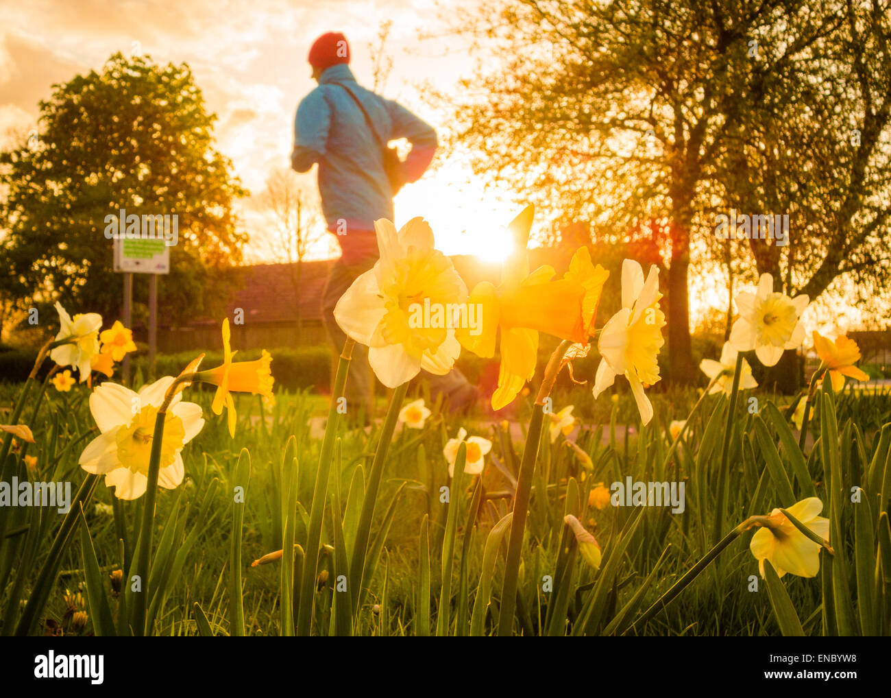 Jogging exercise running runner jogger weather spring hi-res stock ...