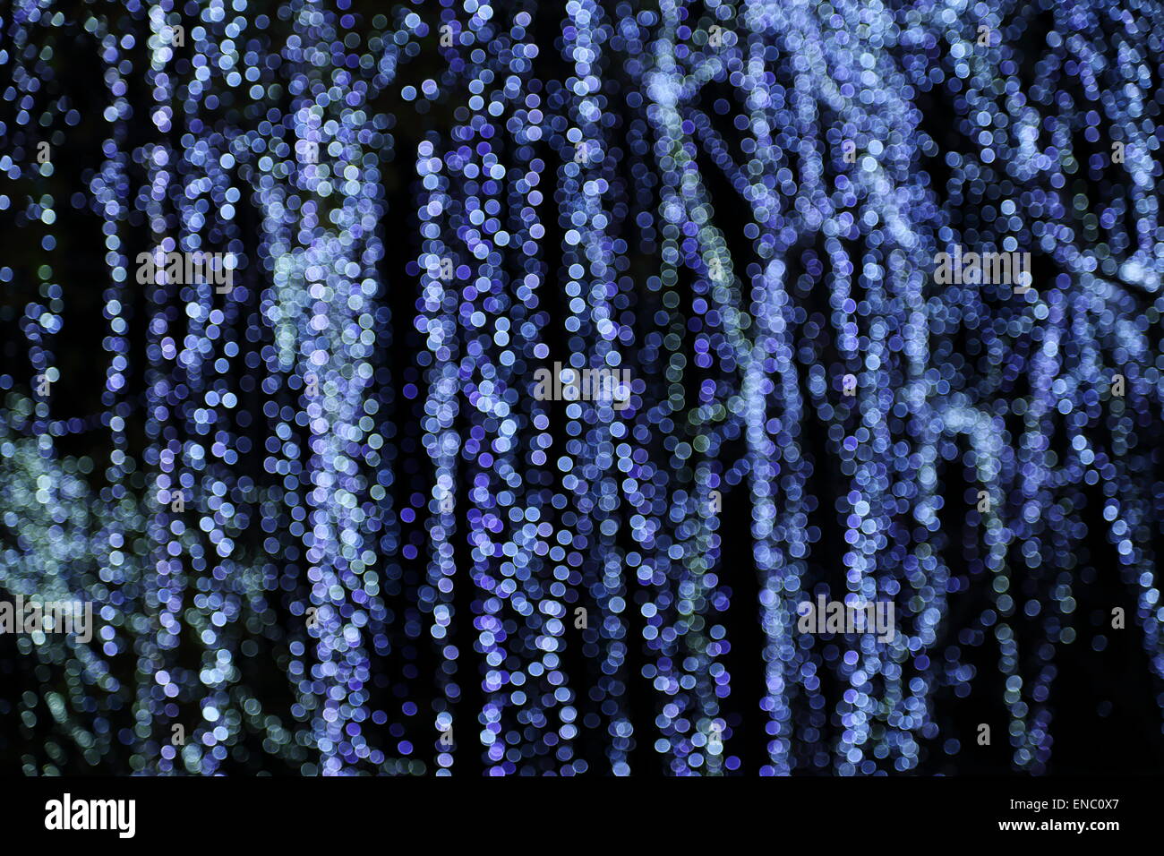 bokeh light blur of the LED lamp in the night Stock Photo - Alamy