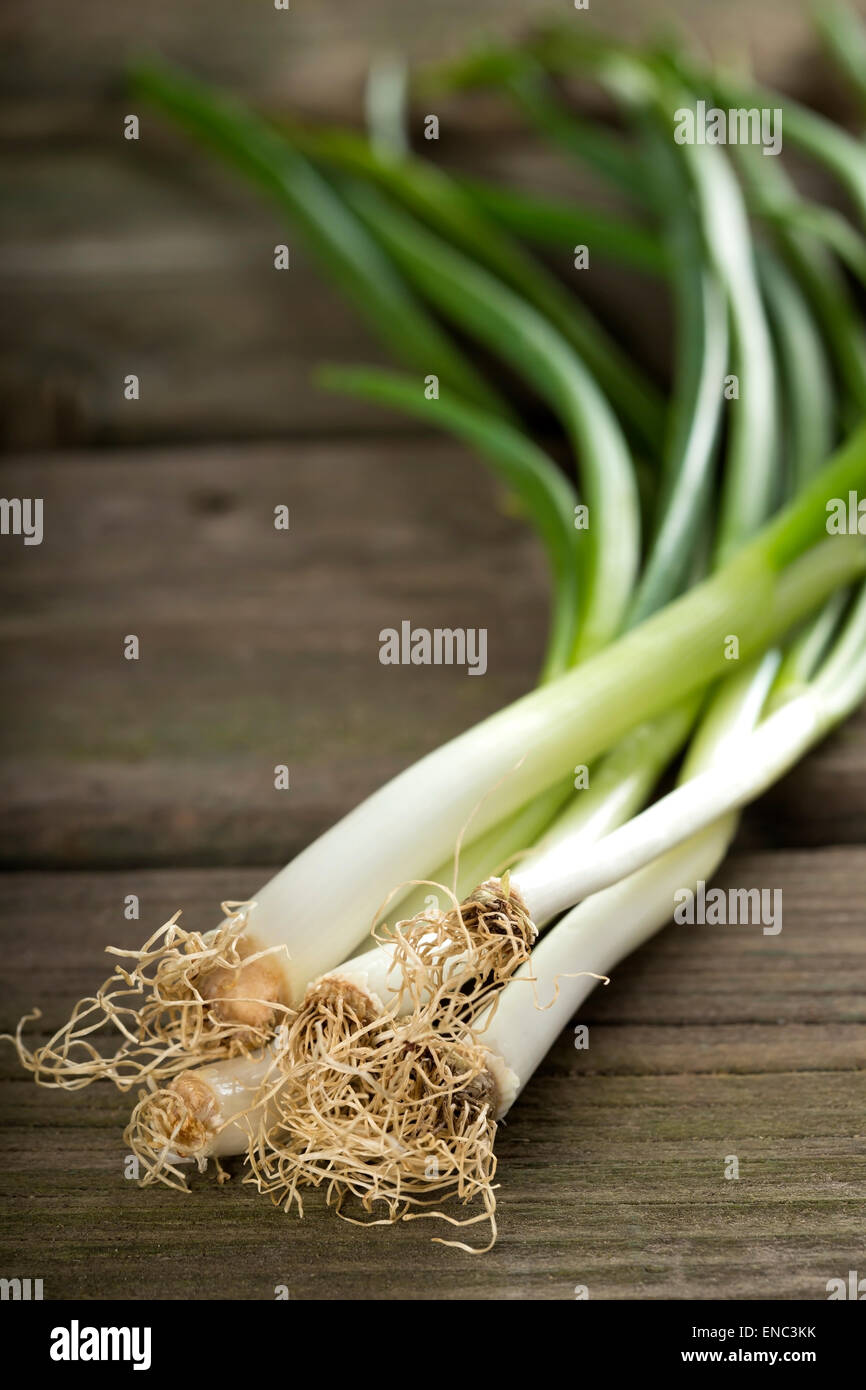 Shallots and scallions hi-res stock photography and images - Alamy