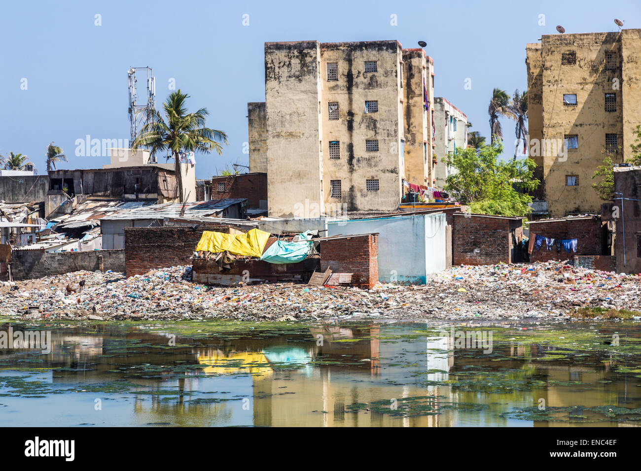 Slums on banks of the polluted Adyar River estuary in Chennai, Tamil ...