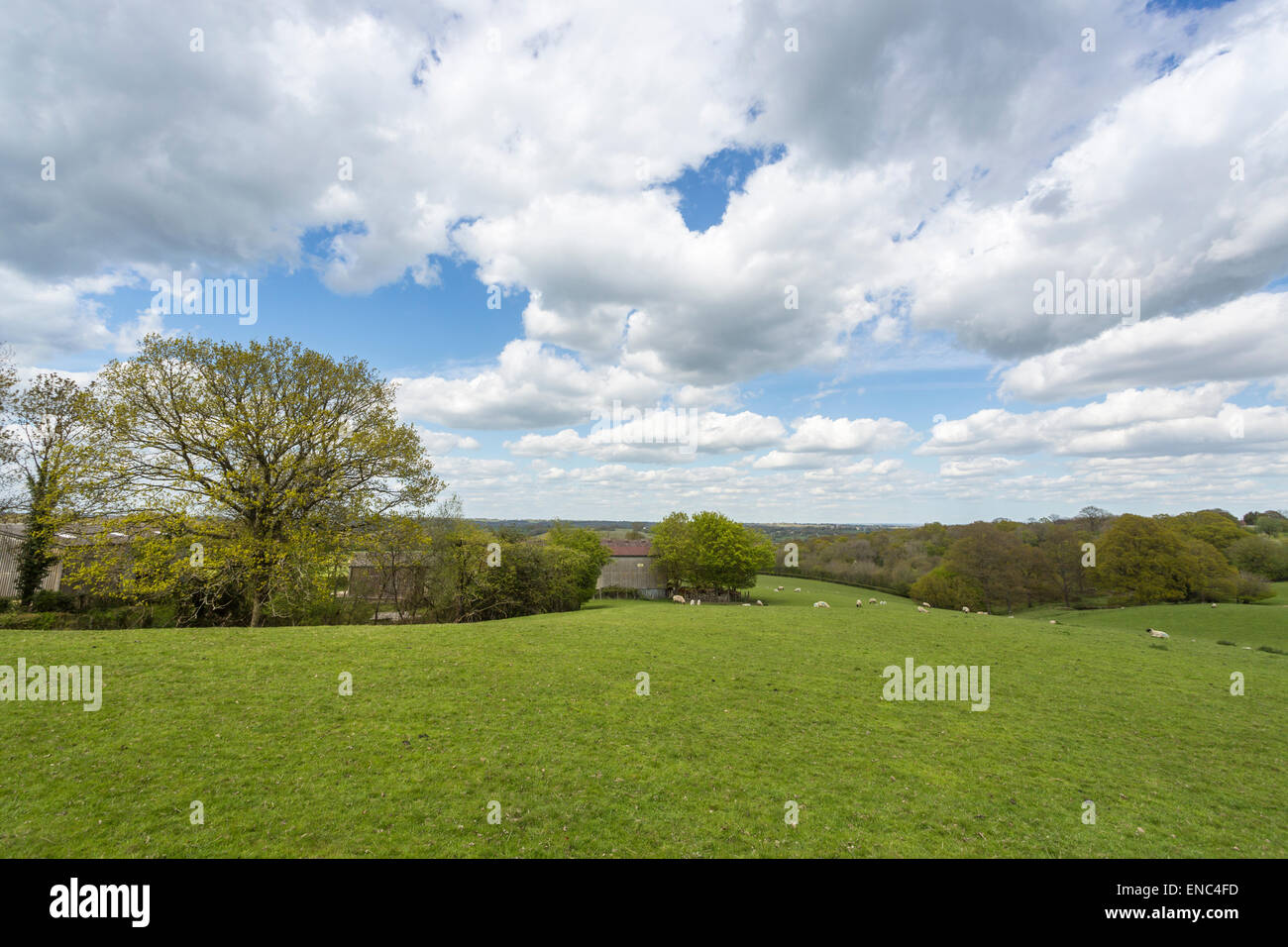 East Sussex/Kent farmland rolling countryside under a big sky, near ...