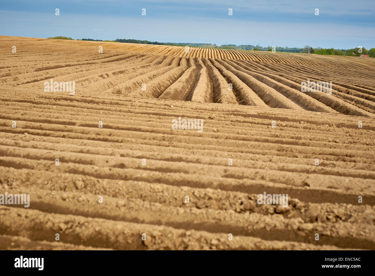 British squares waterloo hi-res stock photography and images - Alamy