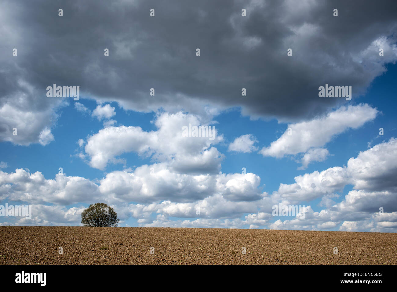 Waterloo battlefield in Belgium Stock Photo - Alamy