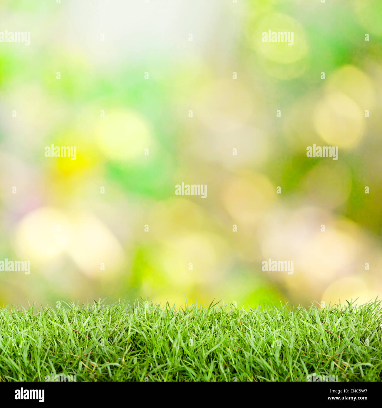 abstract green natural background Stock Photo - Alamy