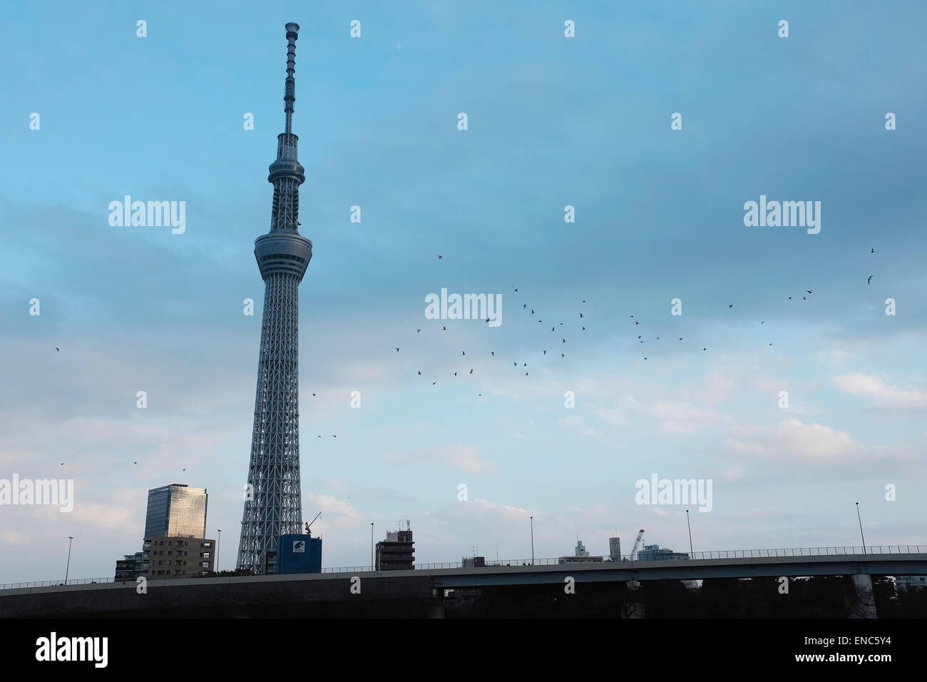 Skytree asakusa hi-res stock photography and images - Alamy