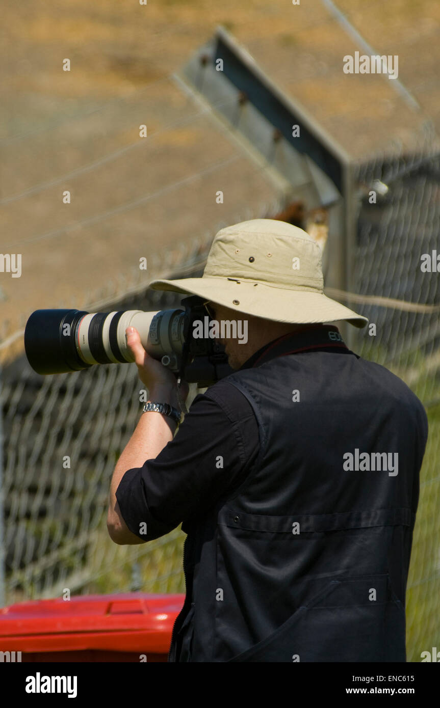 Motor Racing Trackside Photographer Brands Hatch Racetrack Kent England ...