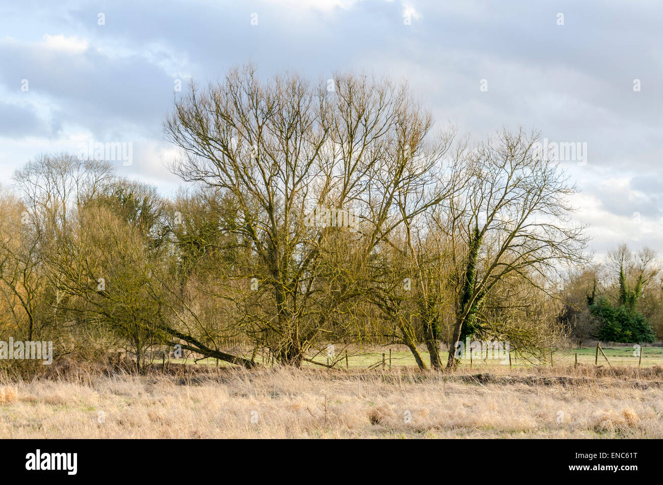 Winter countryside scene Stock Photo - Alamy