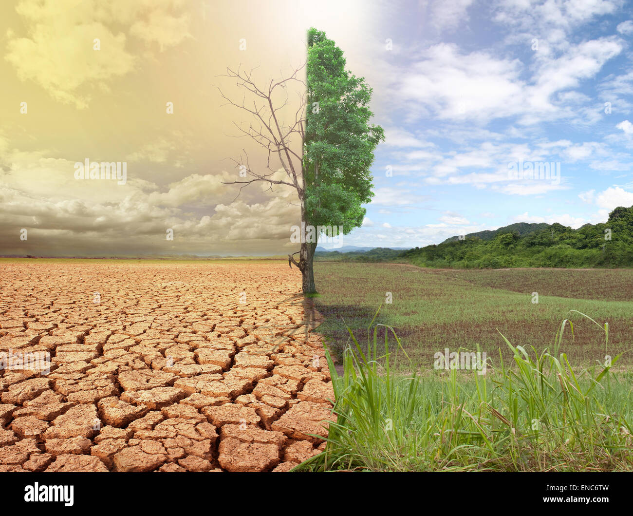 Global concept image hi-res stock photography and images - Alamy