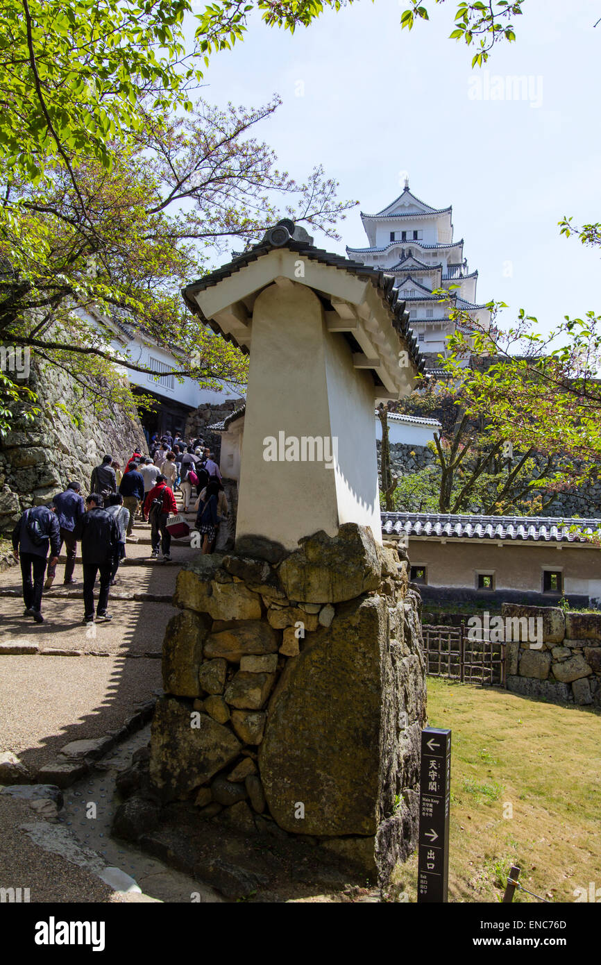 The famous double-backed approach, creating the perfect killing and ...