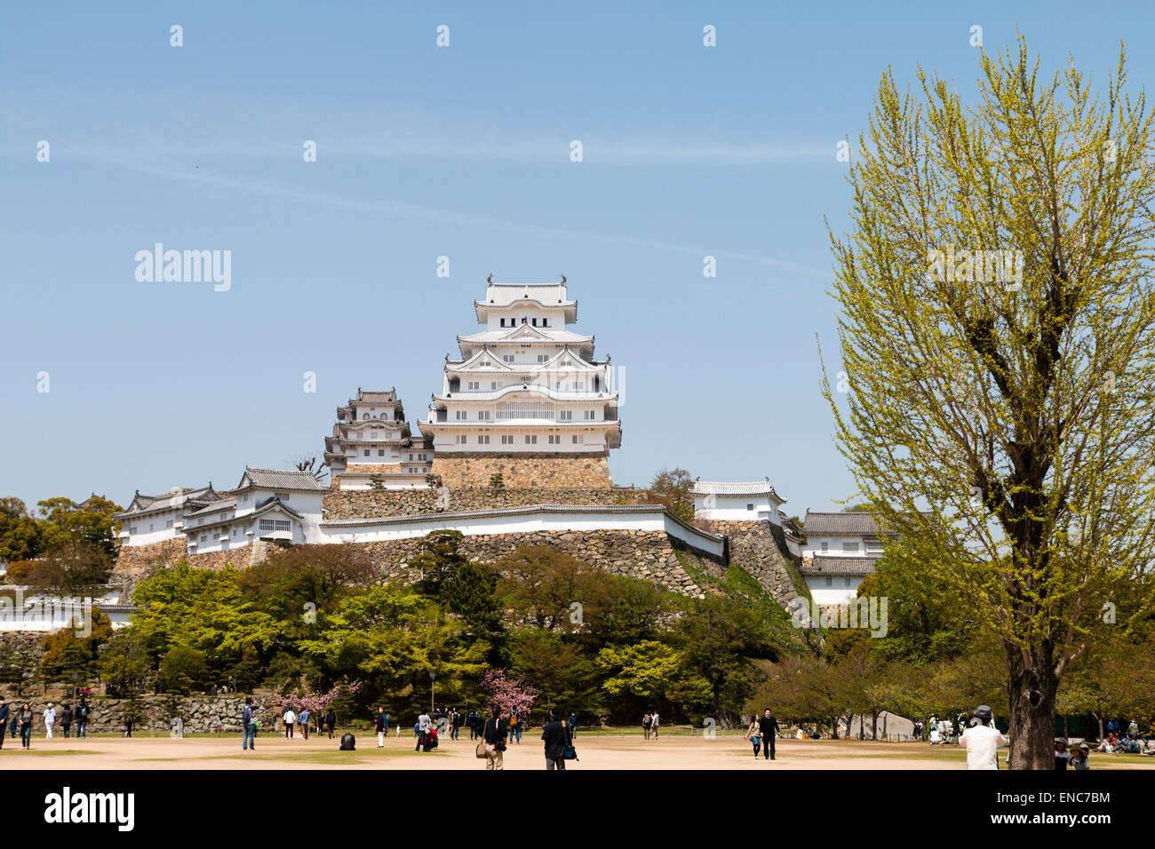 The restored Himeji castle keep as seen from the classic viewpoint from ...
