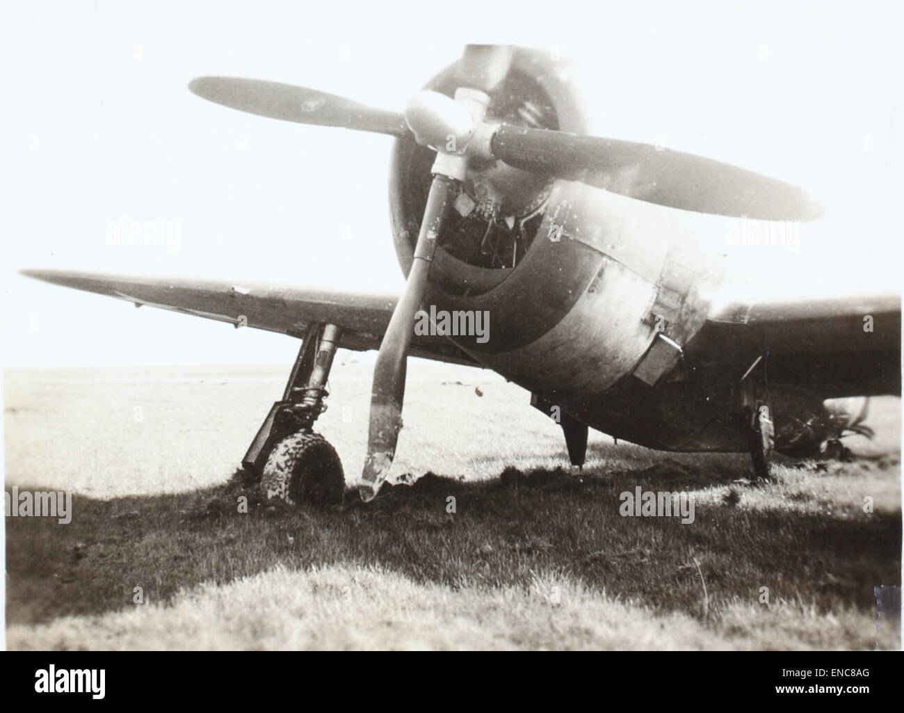 This photograph features a Republic P-47D Thunderbolt aircraft at Dover ...
