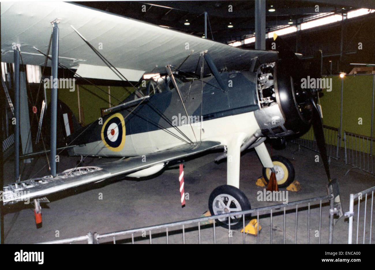 The sea gladiator hi-res stock photography and images - Alamy