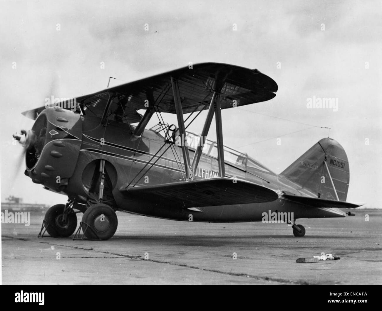 Gulfhawk High Resolution Stock Photography and Images - Alamy