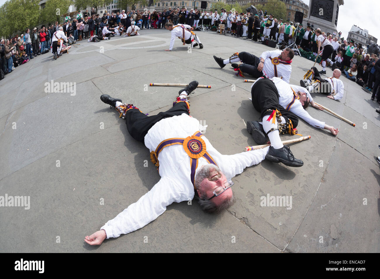 Westminster, London, UK. 2 May 2015. Brighton Morris Men "collapse" at ...