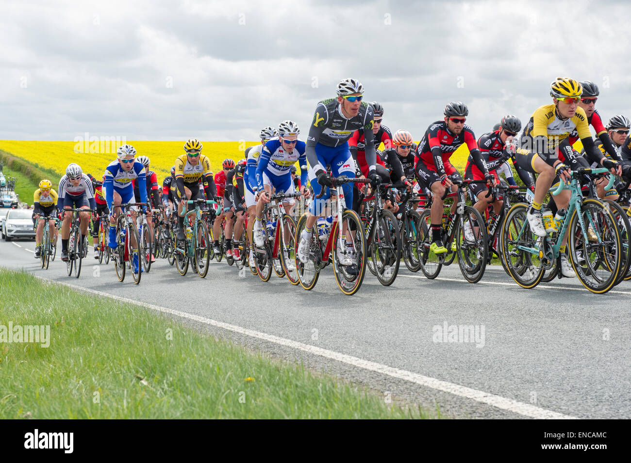 Peloton cyclists hi-res stock photography and images - Alamy